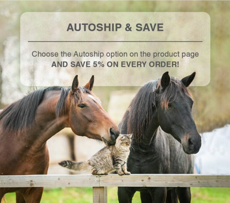 Alternative Animal Natural Supplements For Horses • Alternative Animal